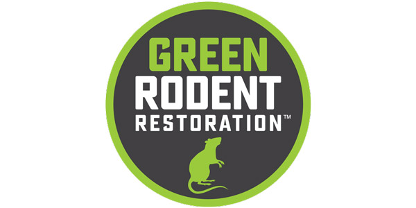 Green Rodent Restoration – Franchise Butler
